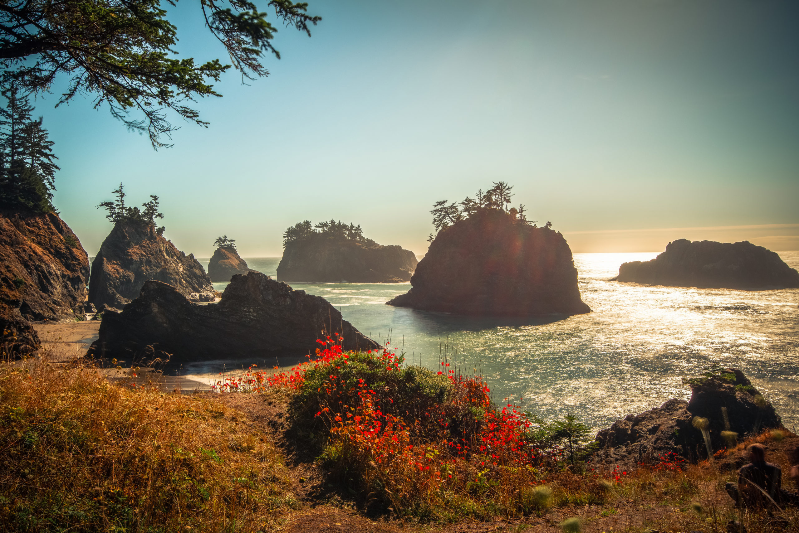 Best Hikes on the Southern Oregon Coast - Travel Southern Oregon Coast