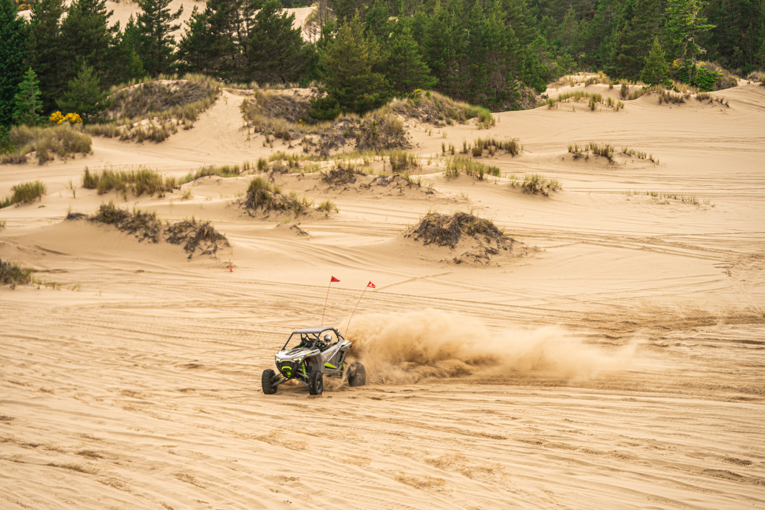 Here's Your Next Beach Adventure: the Oregon Dunes National Recreation Area - Travel Southern ...