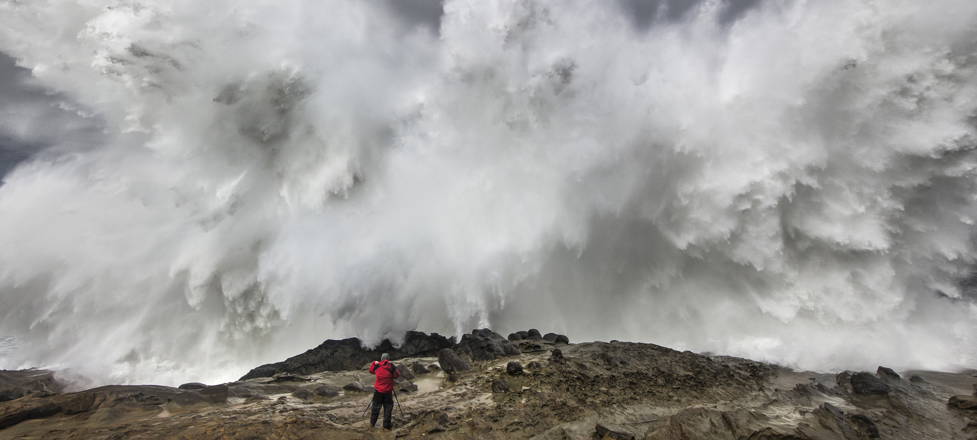 Capture Incredible Images at Shore Acres State Park - Travel Southern ...