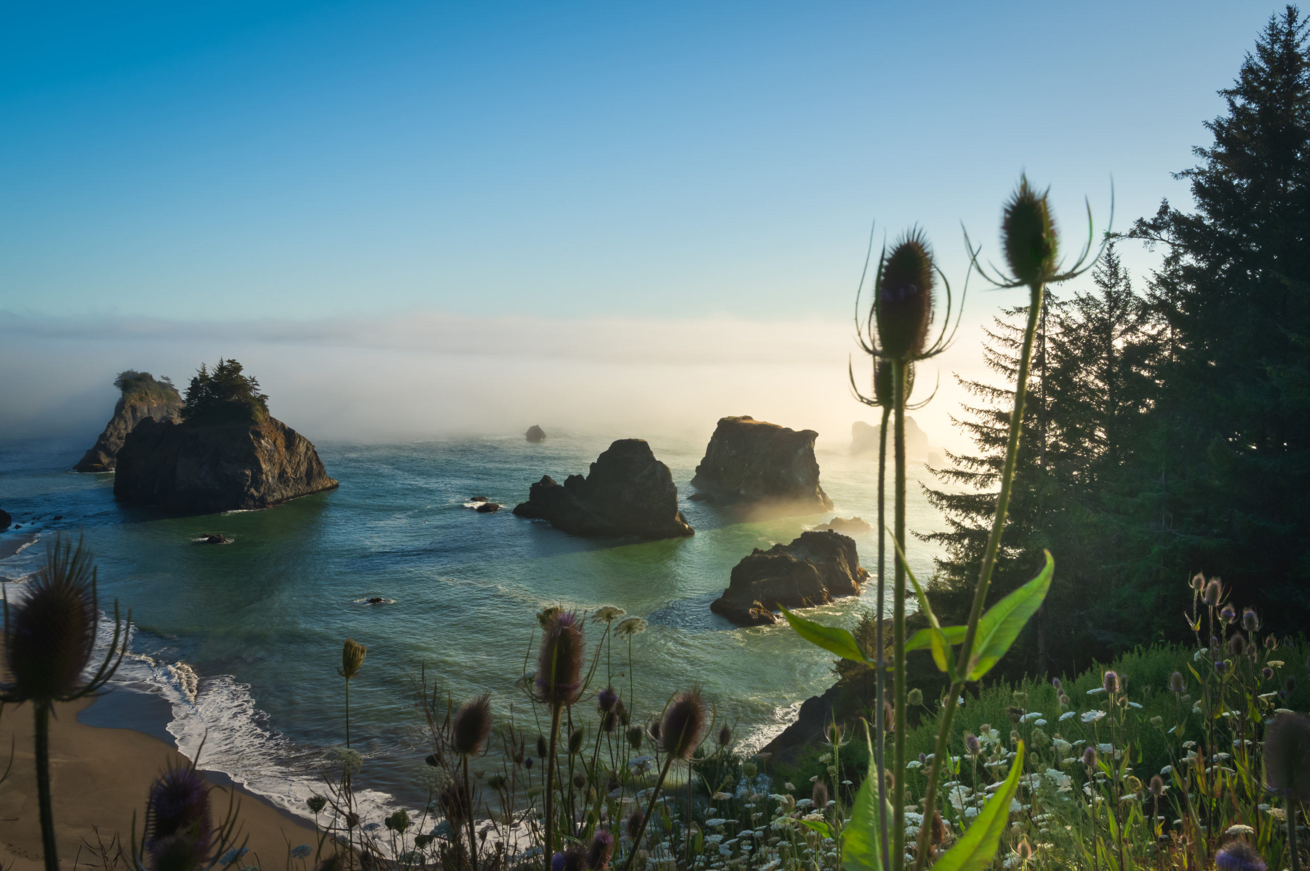 Travel Southern Oregon Coast Adventure and Development Report 2024 ... Travel Southern Oregon Coast Adventure and Development Report 2024 ...