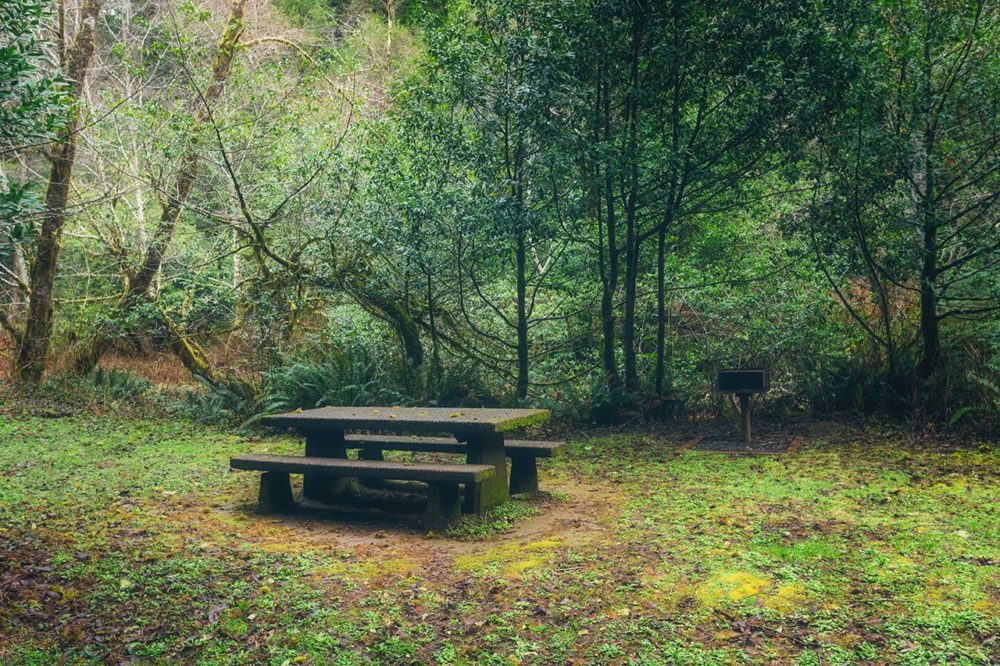 Perfect Picnics on the Southern Oregon Coast - Travel Southern Oregon Coast