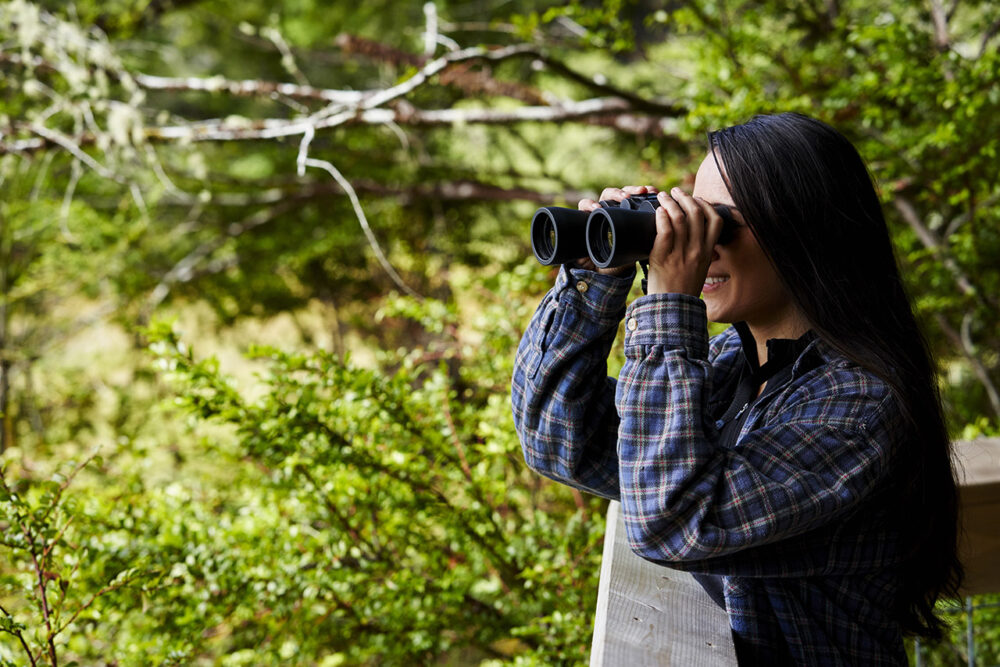 5 Fall Hikes on the Southern Oregon Coast - Travel Southern Oregon Coast