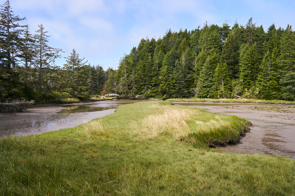 5 Fall Hikes on the Southern Oregon Coast - Travel Southern Oregon Coast