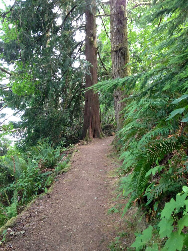 5 Fall Hikes on the Southern Oregon Coast - Travel Southern Oregon Coast
