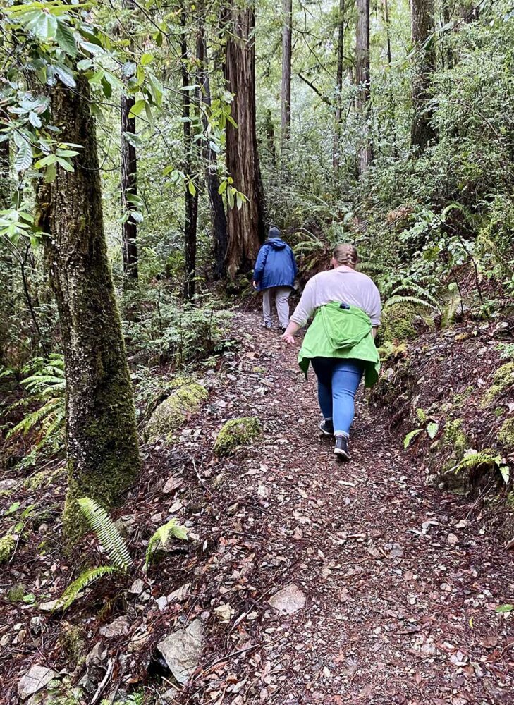 5 Fall Hikes on the Southern Oregon Coast - Travel Southern Oregon Coast