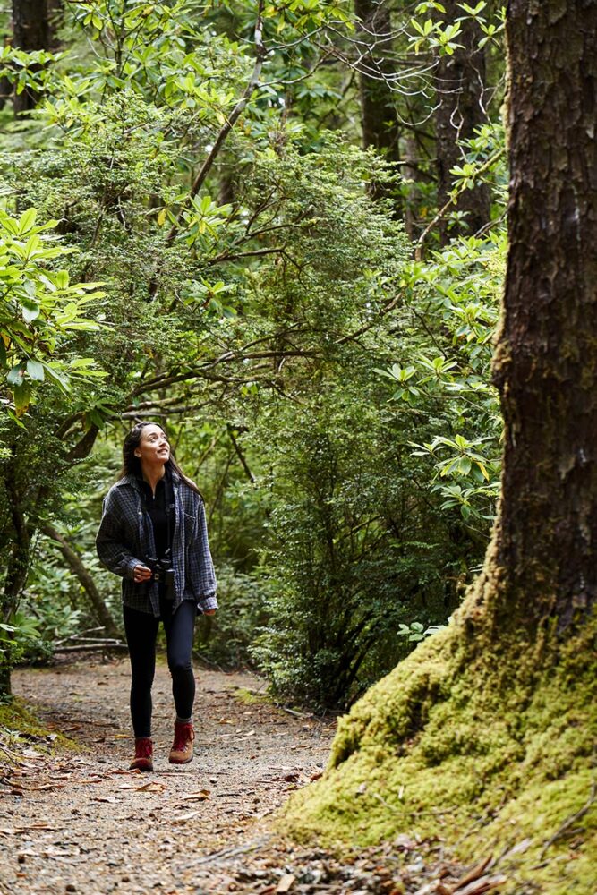 5 Fall Hikes on the Southern Oregon Coast - Travel Southern Oregon Coast