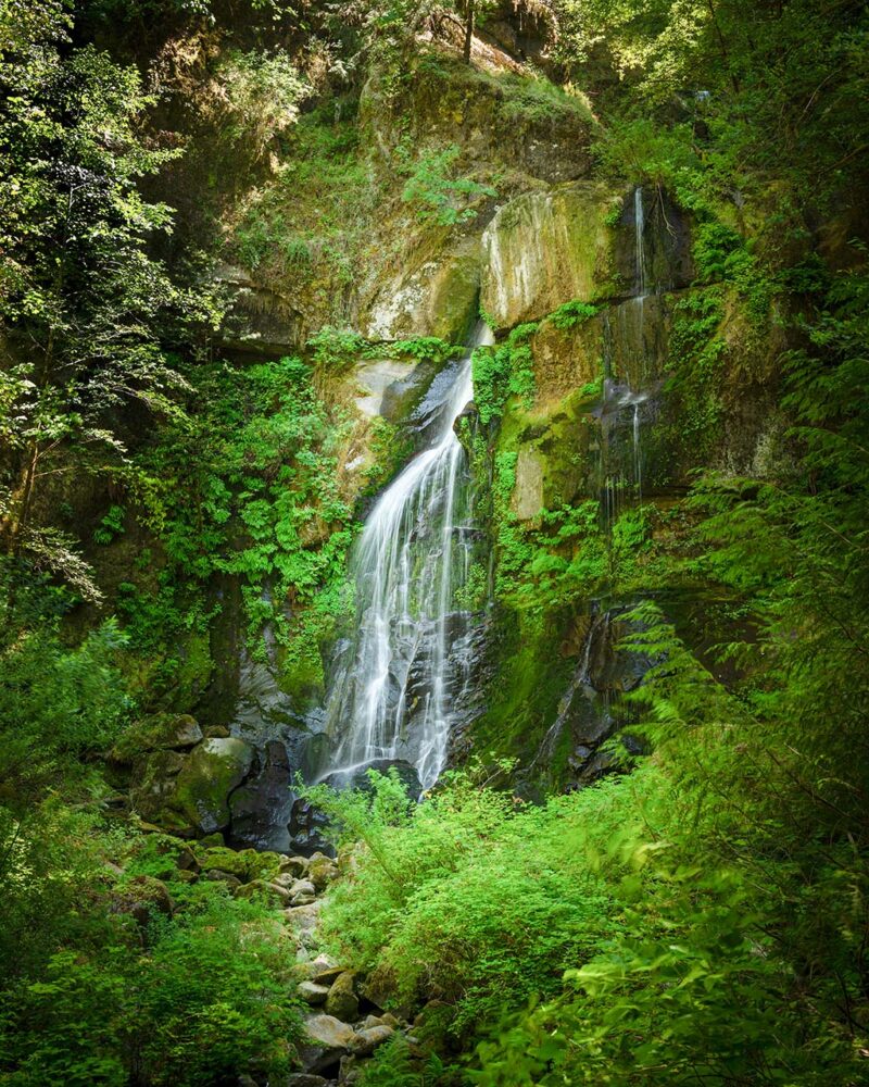 Waterfall Hikes on the Southern Oregon Coast - Travel Southern Oregon Coast
